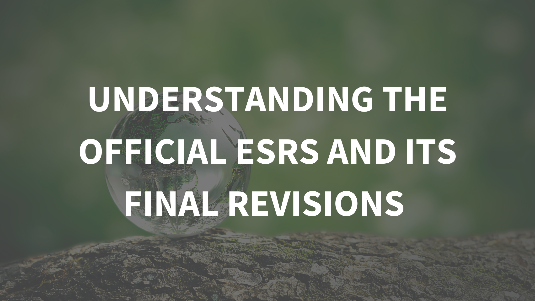 Understanding the Official ESRS and its Final Revisions Understanding the Official ESRS and its Final Revisions